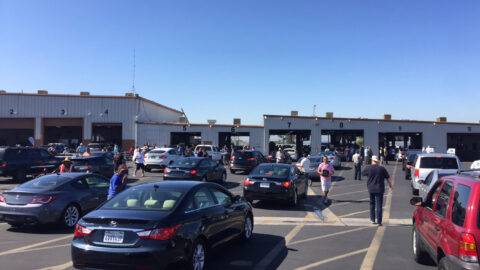 How do car auctions work?