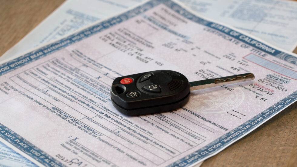 Buy & Sell at Car Auctions for Profit (2024) – Dealer 101®